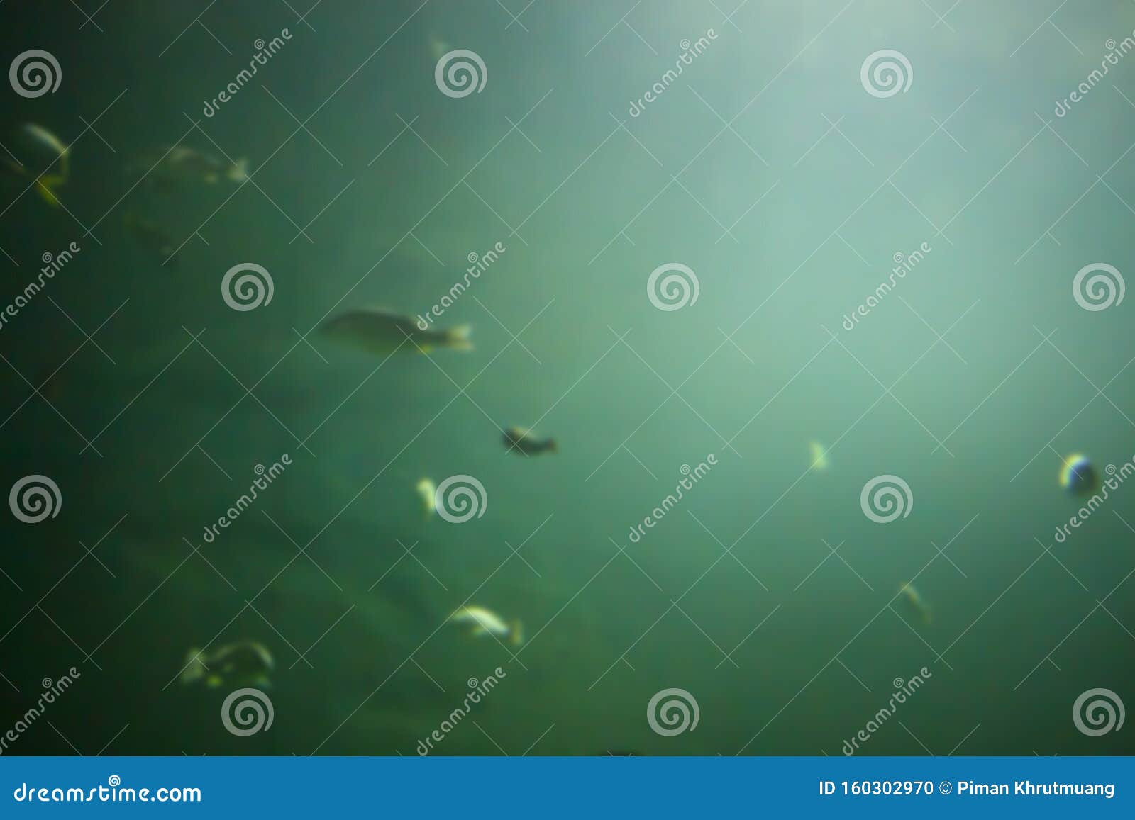 Underwater Ocean Abstract Blur Background Stock Photo - Image of dark ...