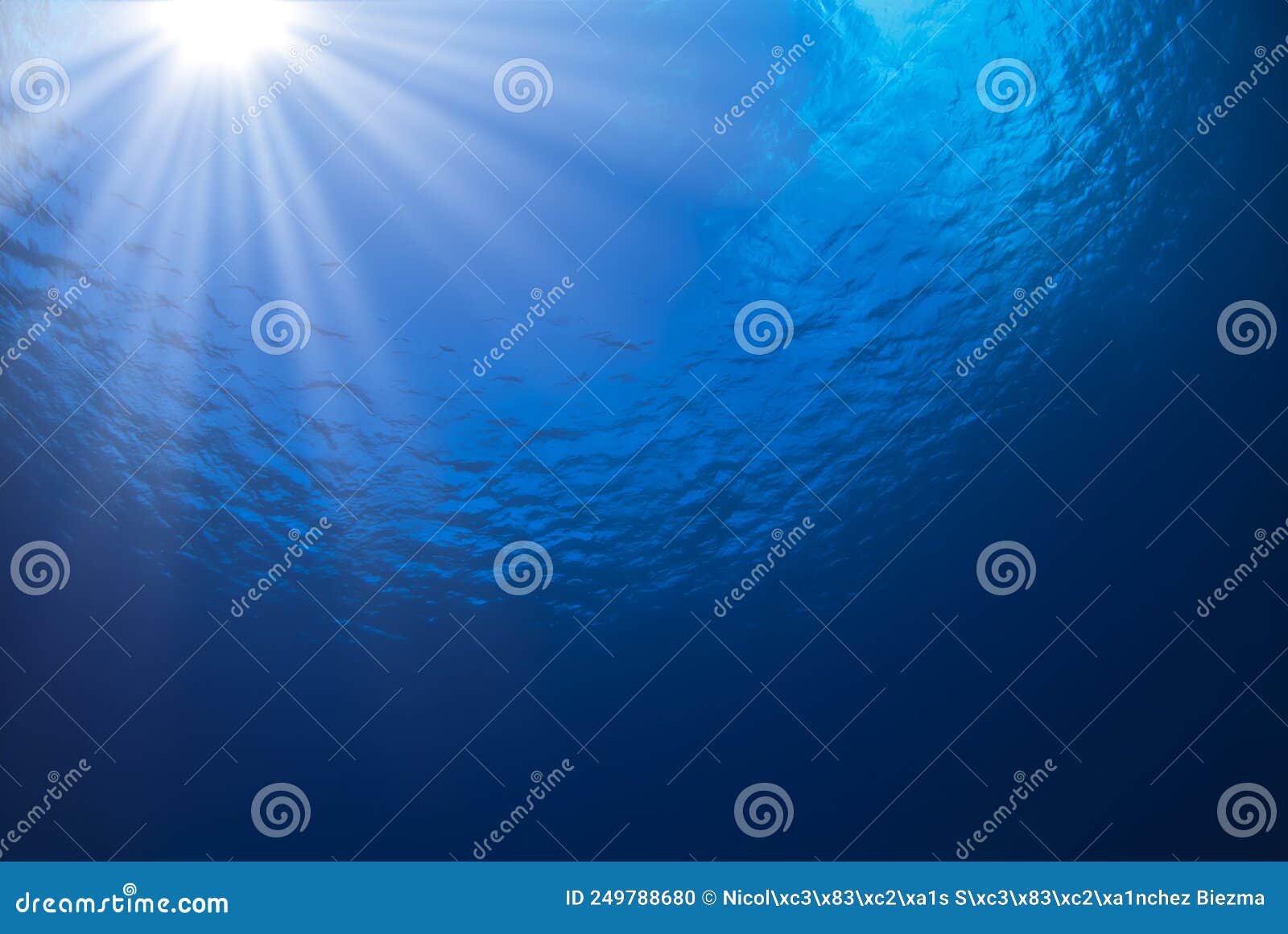 Underwater Ocean Blue Wallpaper Stock Photo - Image of bright, light ...