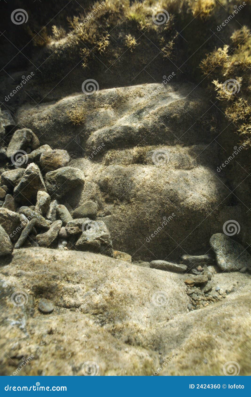 Underwater ocean rocks. stock photo. Image of colour, outdoors - 2424360