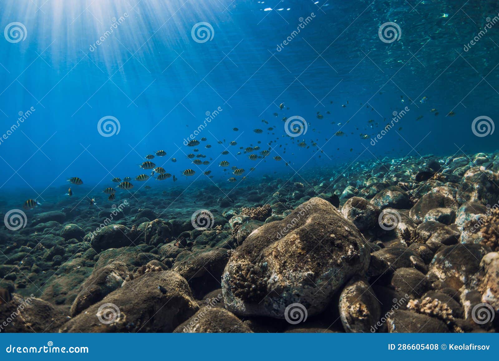 Stones On The Bottom Of The Taul Portii Lake, In The Natural Park ...
