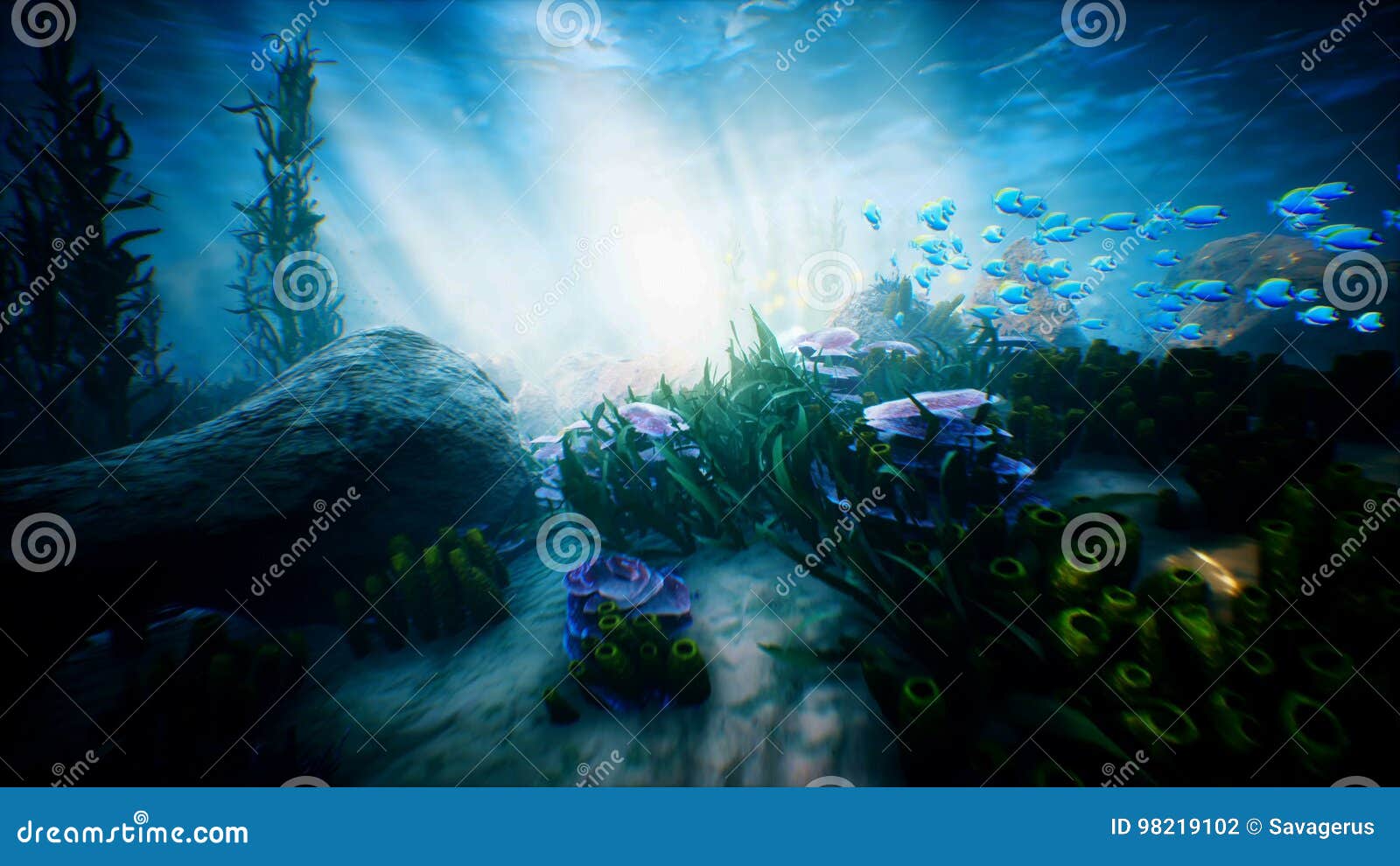 Underwater Ocean Waves Ripple and Tropical Fish Stock Footage - Video ...