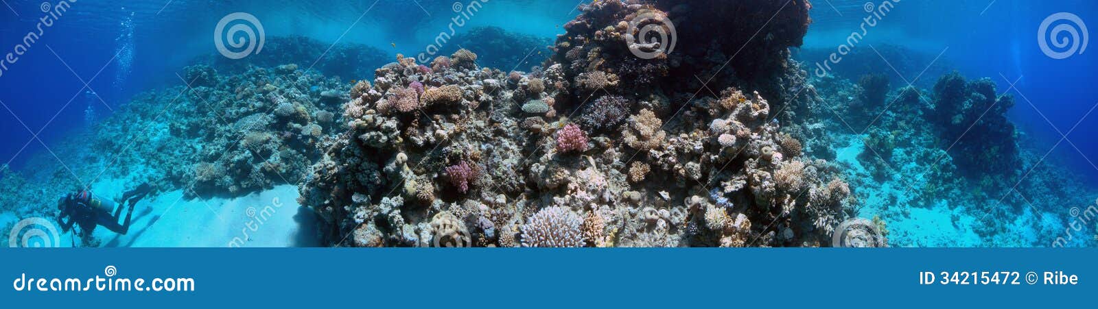 Underwater Panorama stock photo. Image of holiday, blue - 34215472