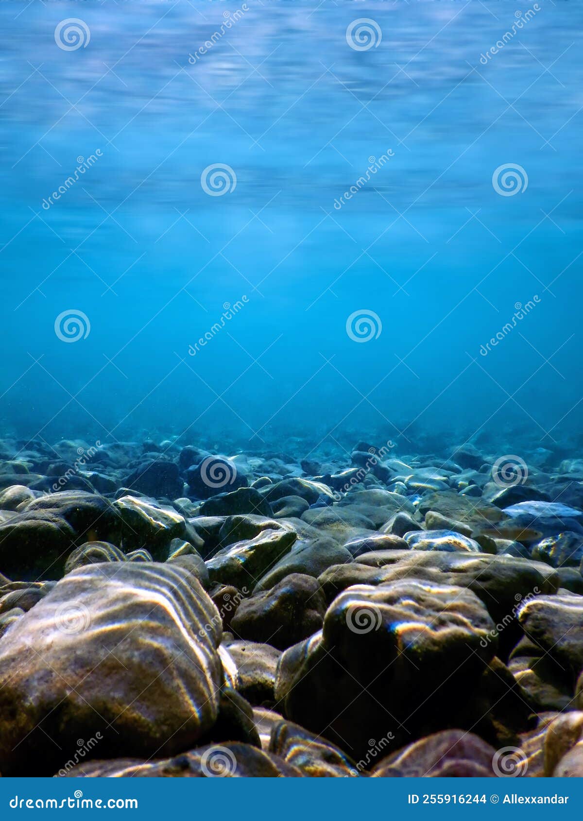 Underwater Pebbles Below Water Surface Stock Photo - Image of undersea ...