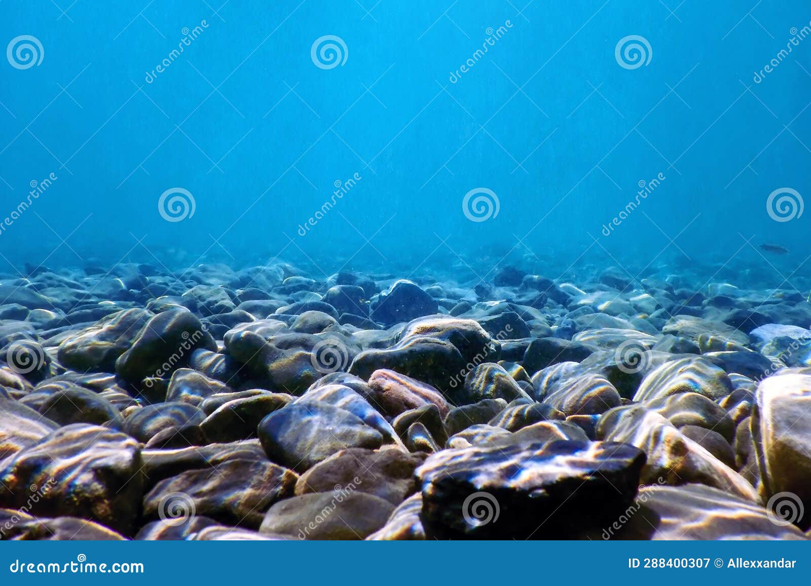 Underwater Pebbles Below Water Surface Stock Image - Image of ...