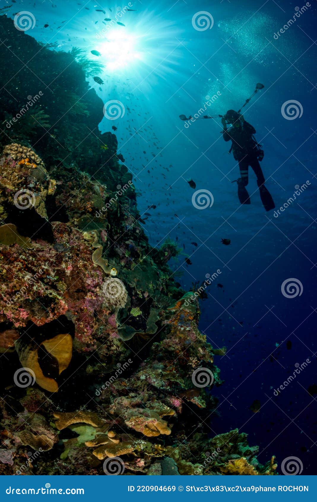 Underwater Photographer Shooting a Tropical Reef Stock Image - Image of ...