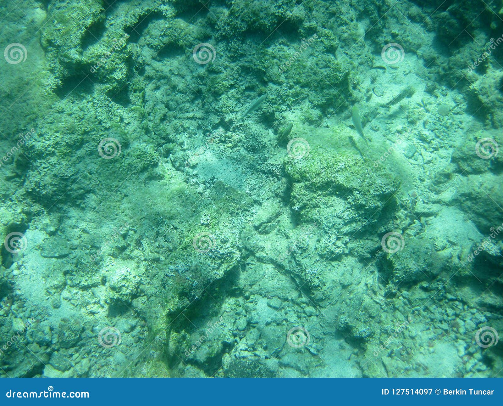 Underwater Photography in Turkey Stock Image - Image of antalya ...