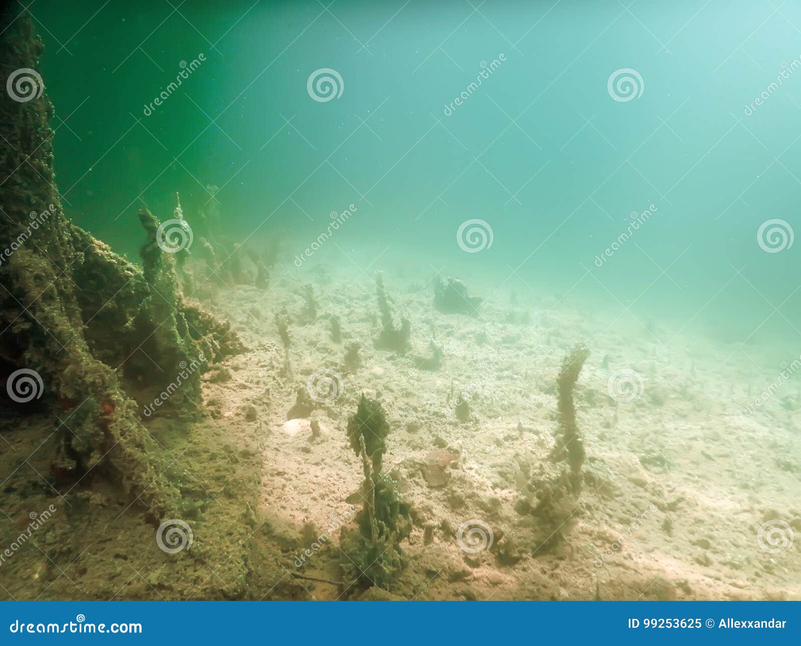 Underwater Pillars of a Pier. Underwater Scene Stock Image - Image of ...