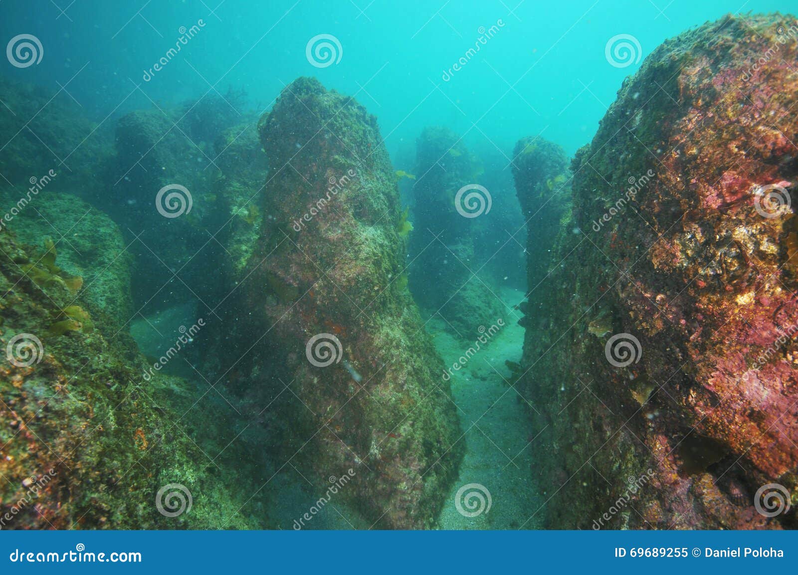 Underwater Pinnacles in Blue Haze Stock Image - Image of encrusting ...