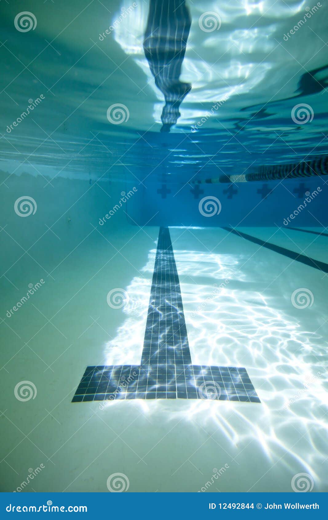 Underwater pool shot stock photo. Image of lane, divider - 12492844
