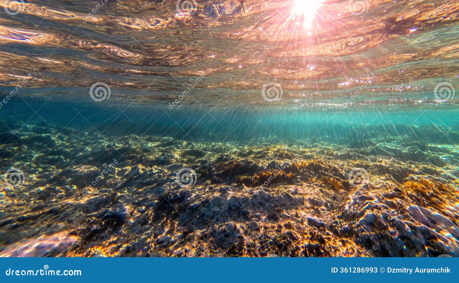 Underwater Sun Rays, Deep Water Sunlight, Under Sea Sunbeams Background ...