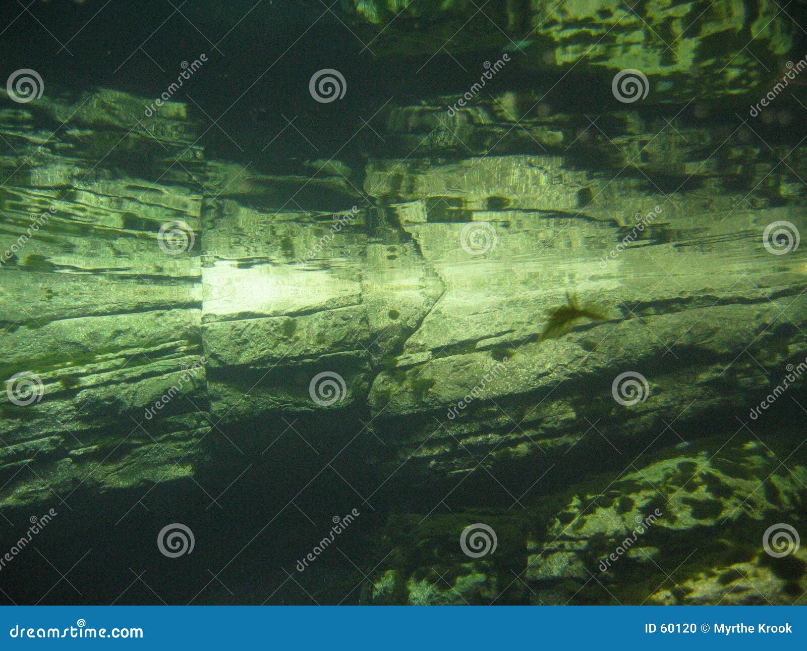 Underwater reflection stock photo. Image of abstract, texture - 60120