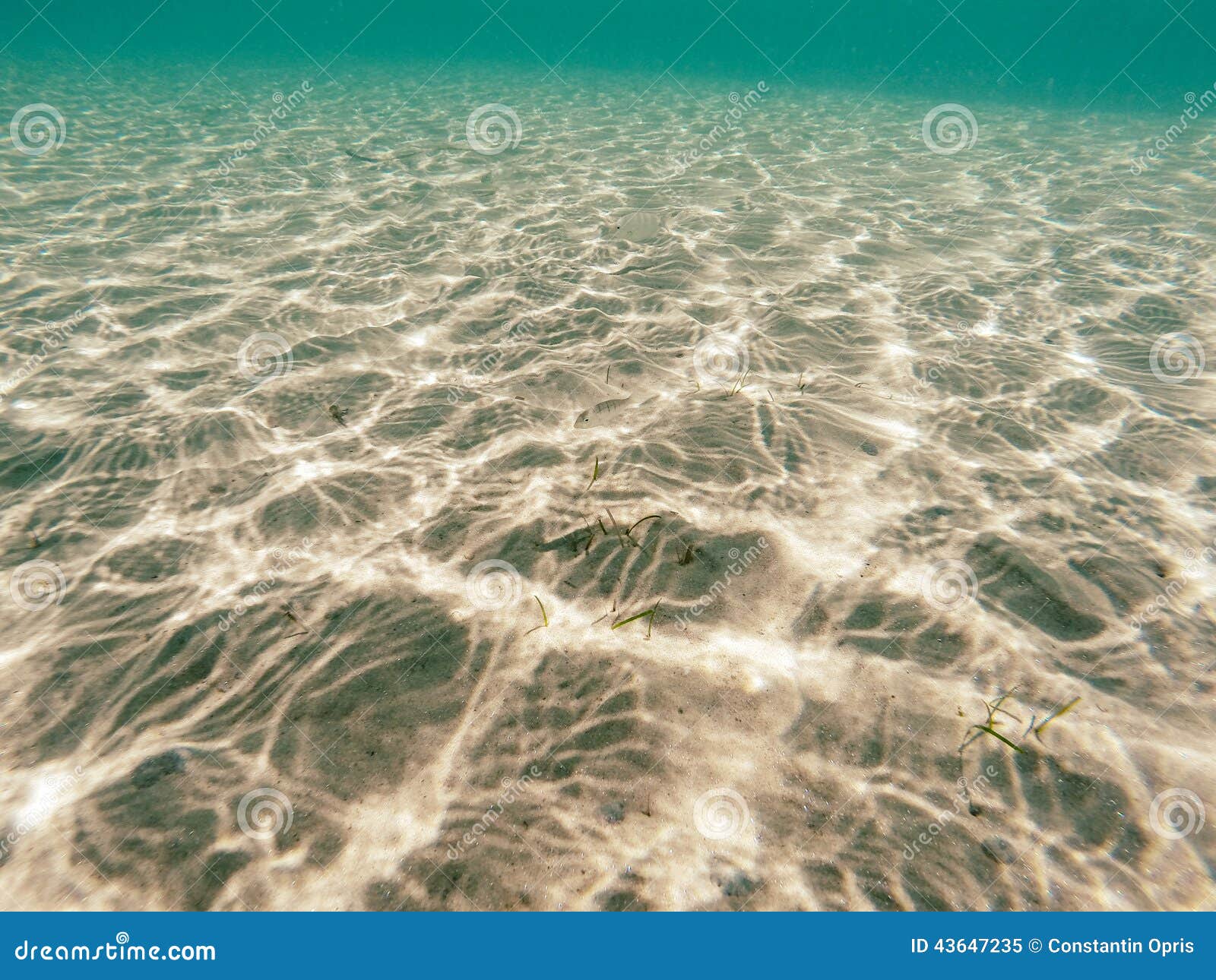 Underwater reflections stock image. Image of shadows - 43647235
