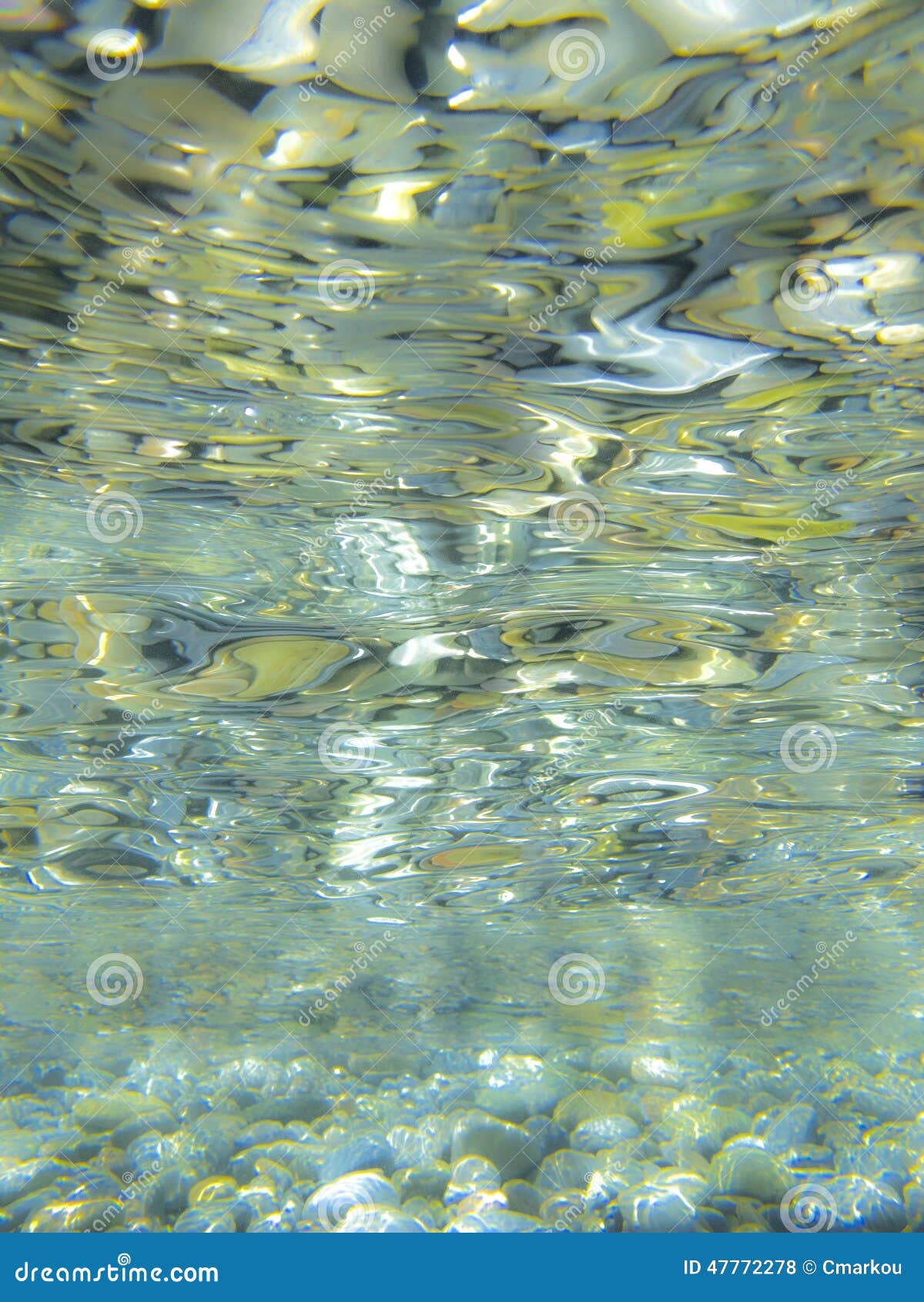 Underwater reflections stock photo. Image of wave, reflection - 47772278