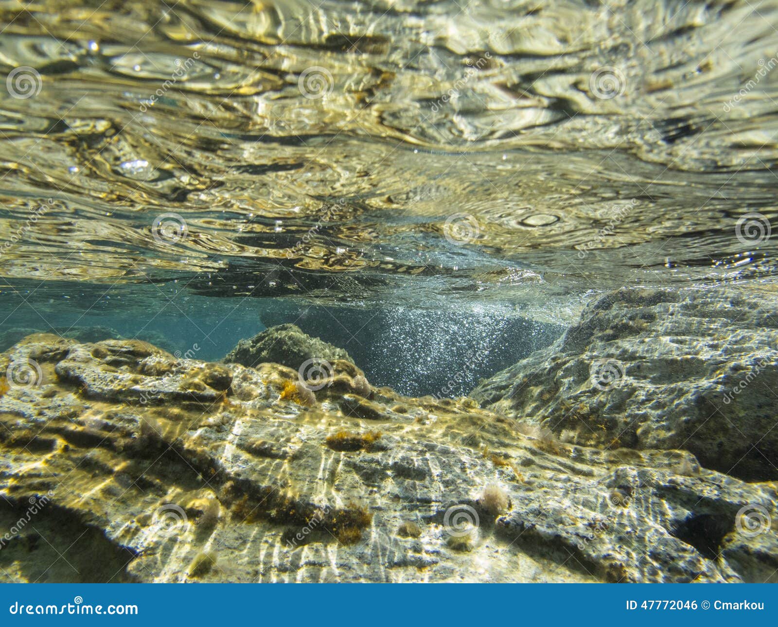 Underwater reflections stock photo. Image of ocean, symmetric - 47772046