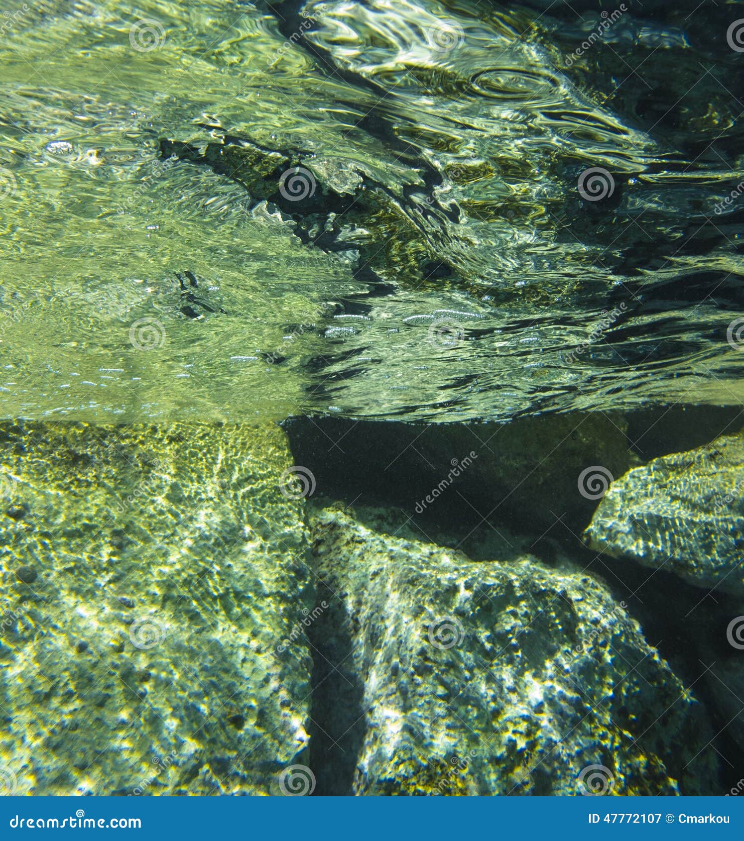 Underwater reflections stock image. Image of symmetric - 47772107