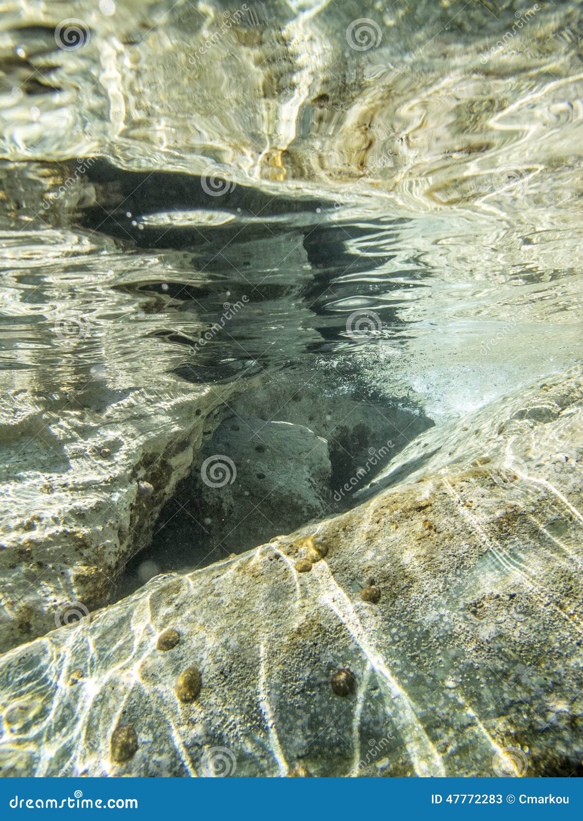 Underwater reflections stock image. Image of water, blue - 47772283