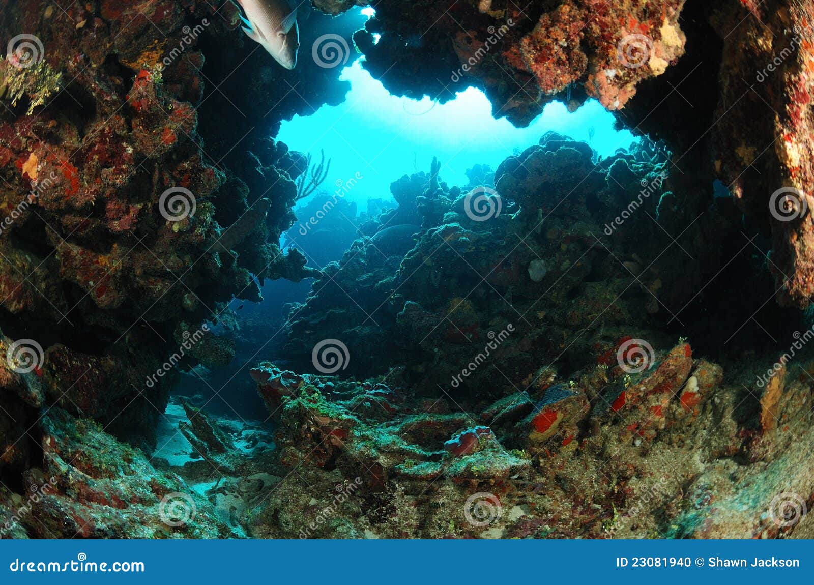 Ocean Rock Underwater