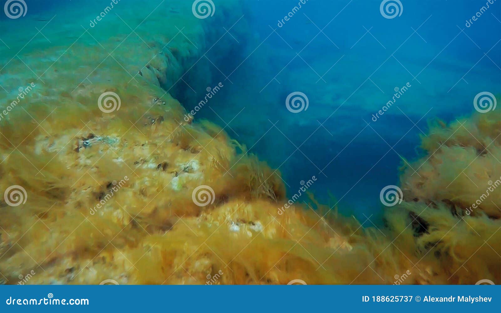 Underwater Rock Covered with Algae Stock Image - Image of caspian, deep ...