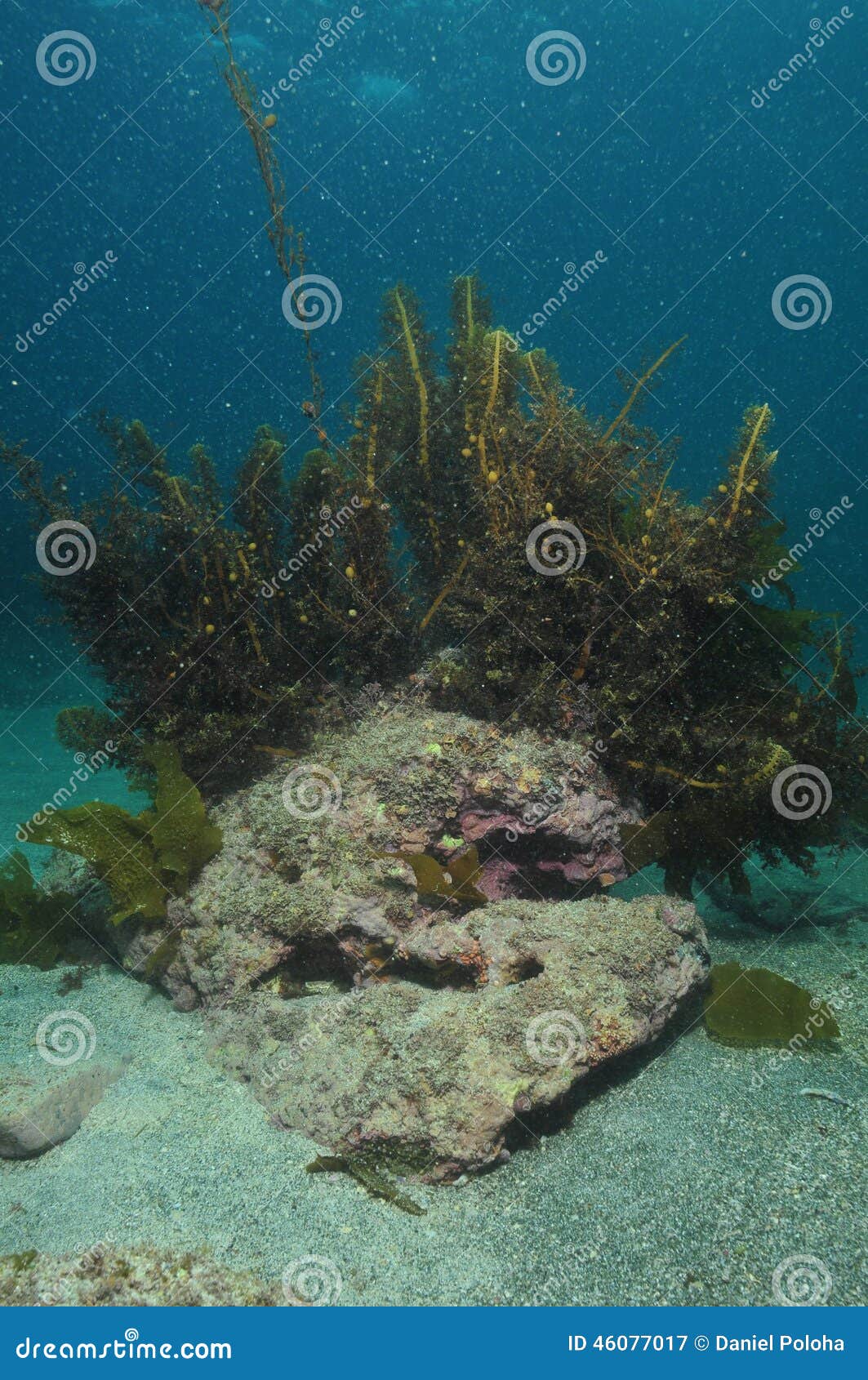 Underwater Rock Texture With Random Squiggle Shapes Formed Over ...