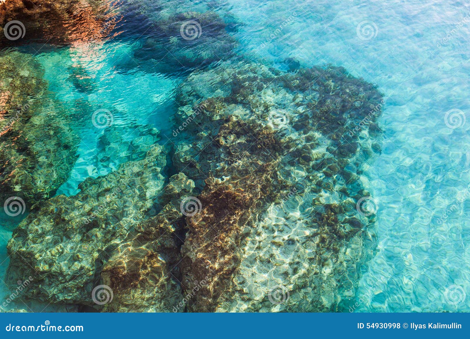 Underwater Rock Texture With Random Squiggle Shapes Formed Over ...