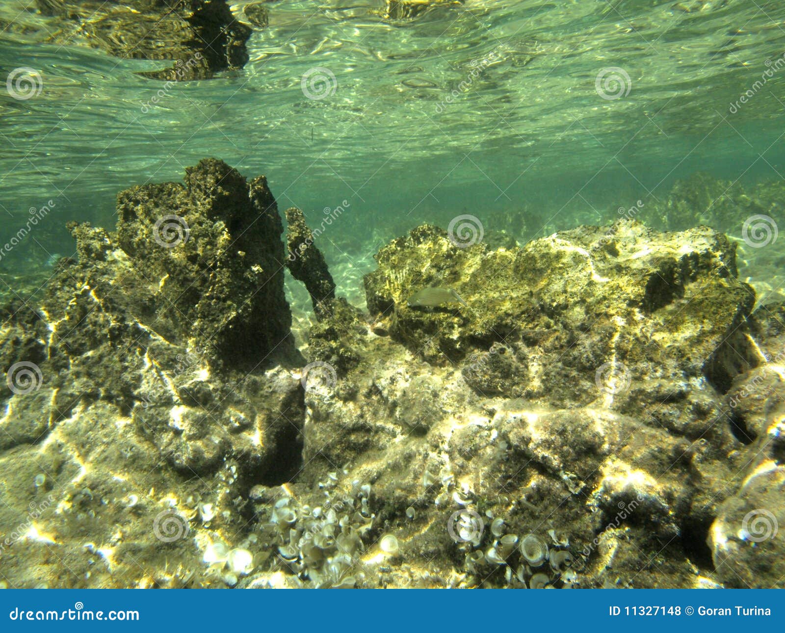 Underwater rocks stock photo. Image of water, rocks, surface - 11327148