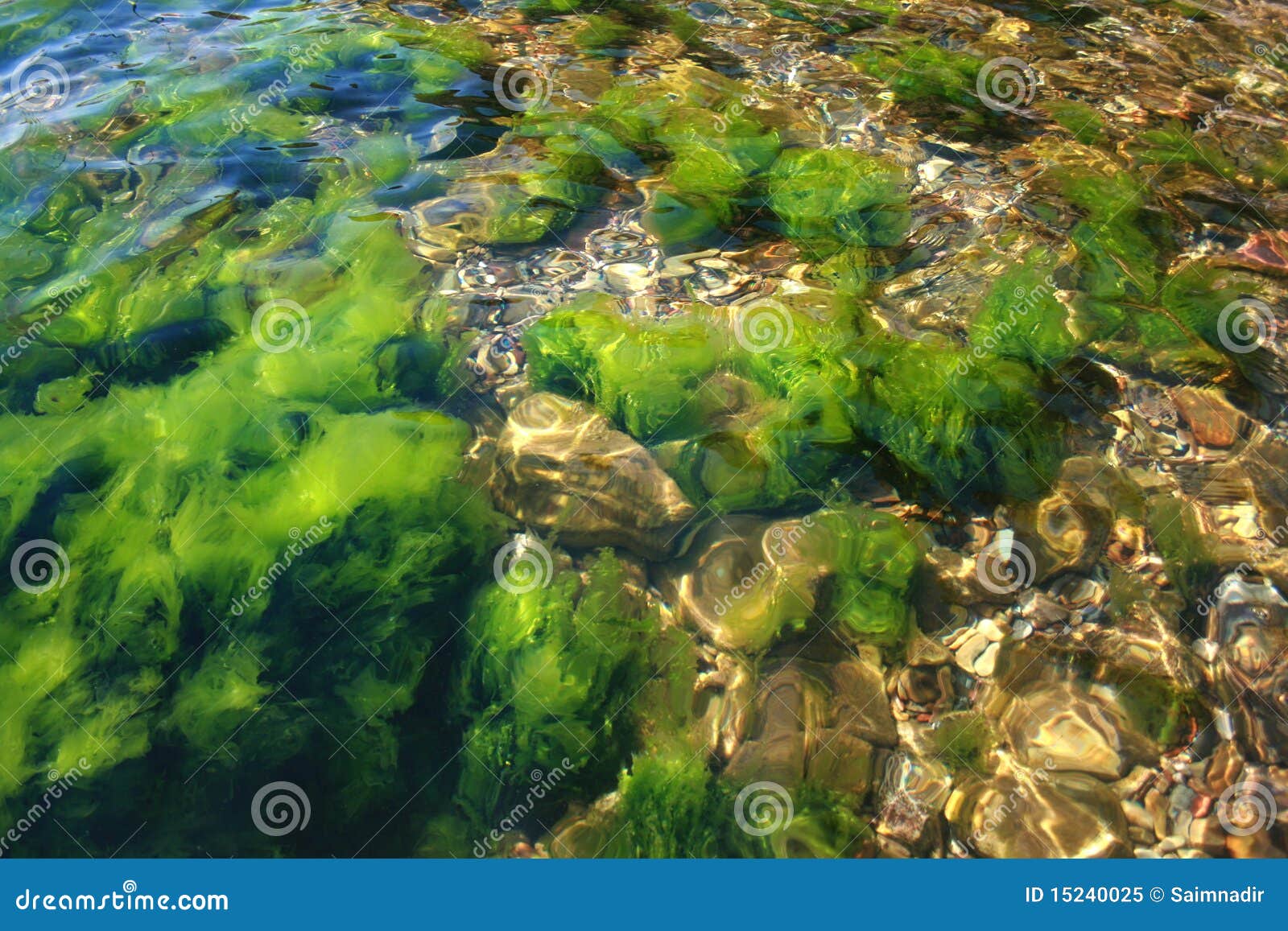 Underwater rocks stock image. Image of swimming, mirror - 15240025