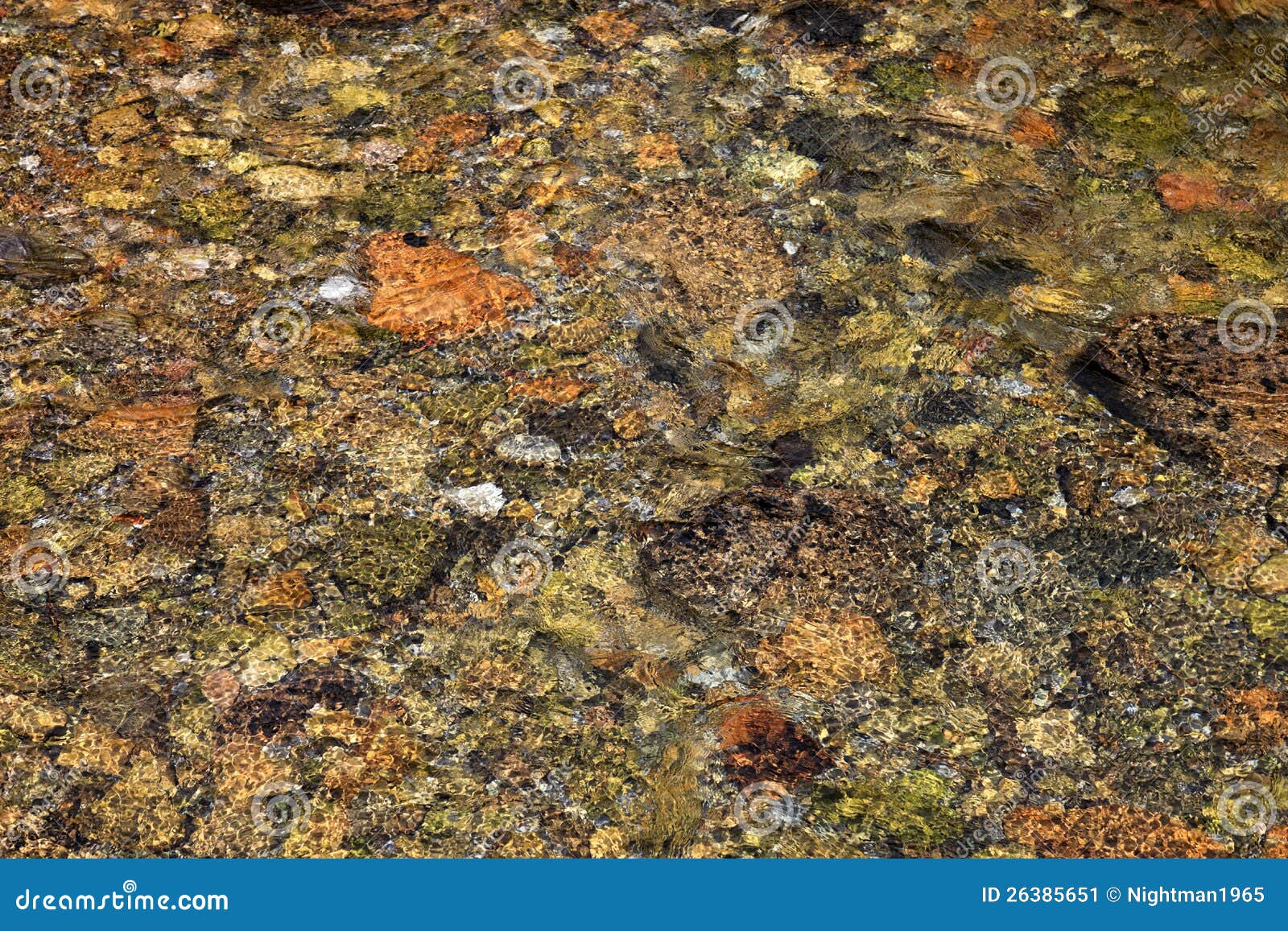 Underwater Rocks stock image. Image of nature, rough - 26385651