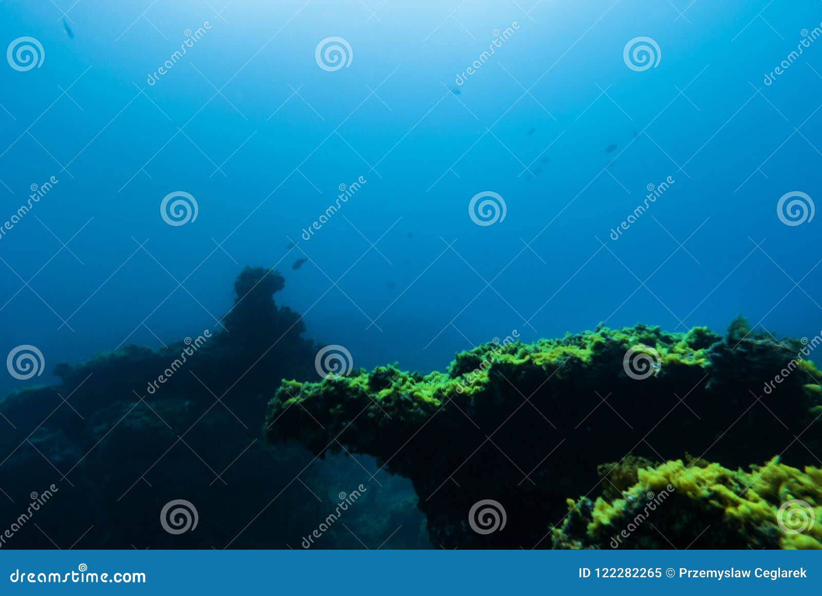 Underwater Rocks And Sand From Riviera Maya Royalty-Free Stock ...