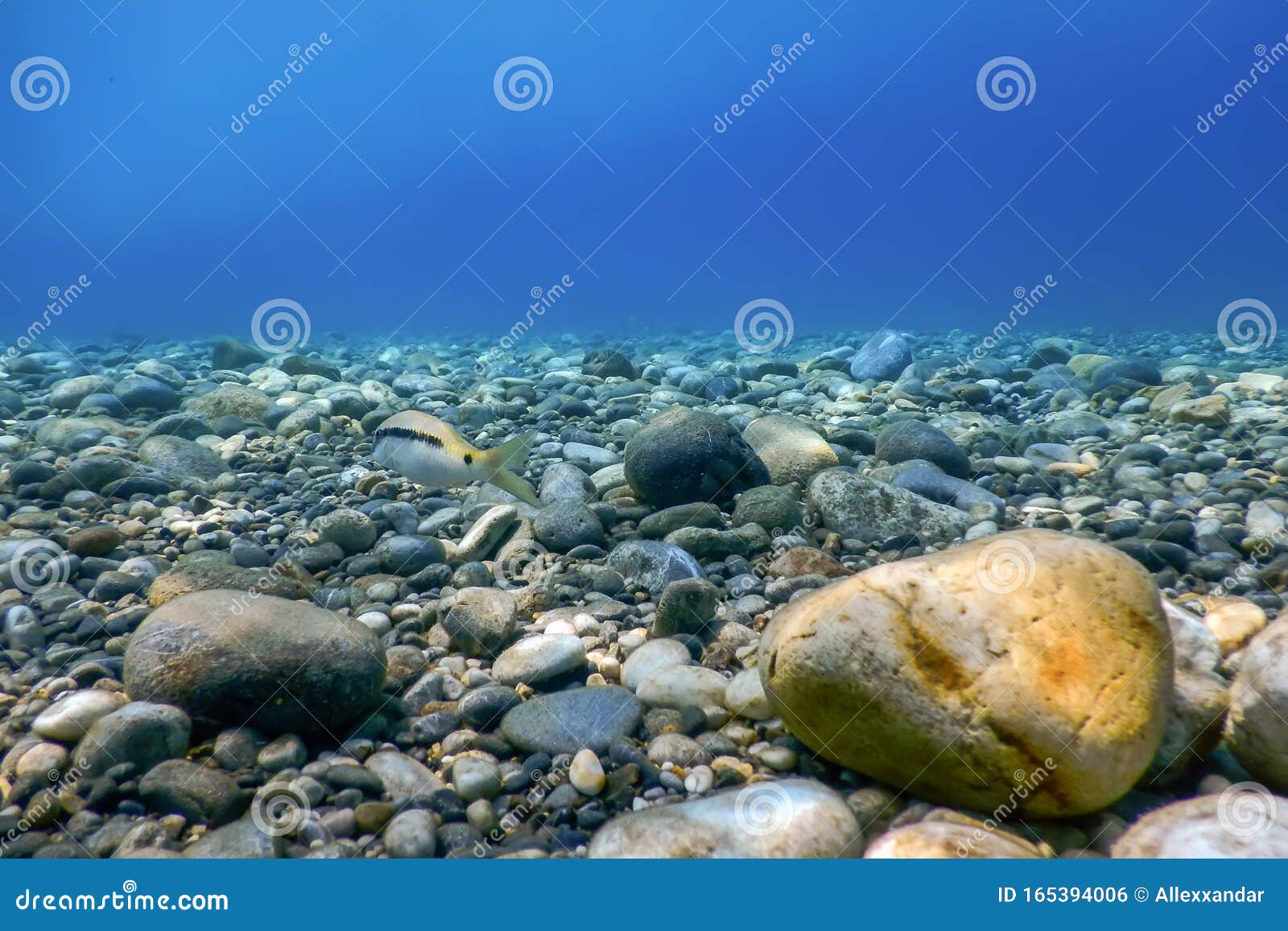Underwater Rocks and Pebbles on the Seabed Stock Photo - Image of ...