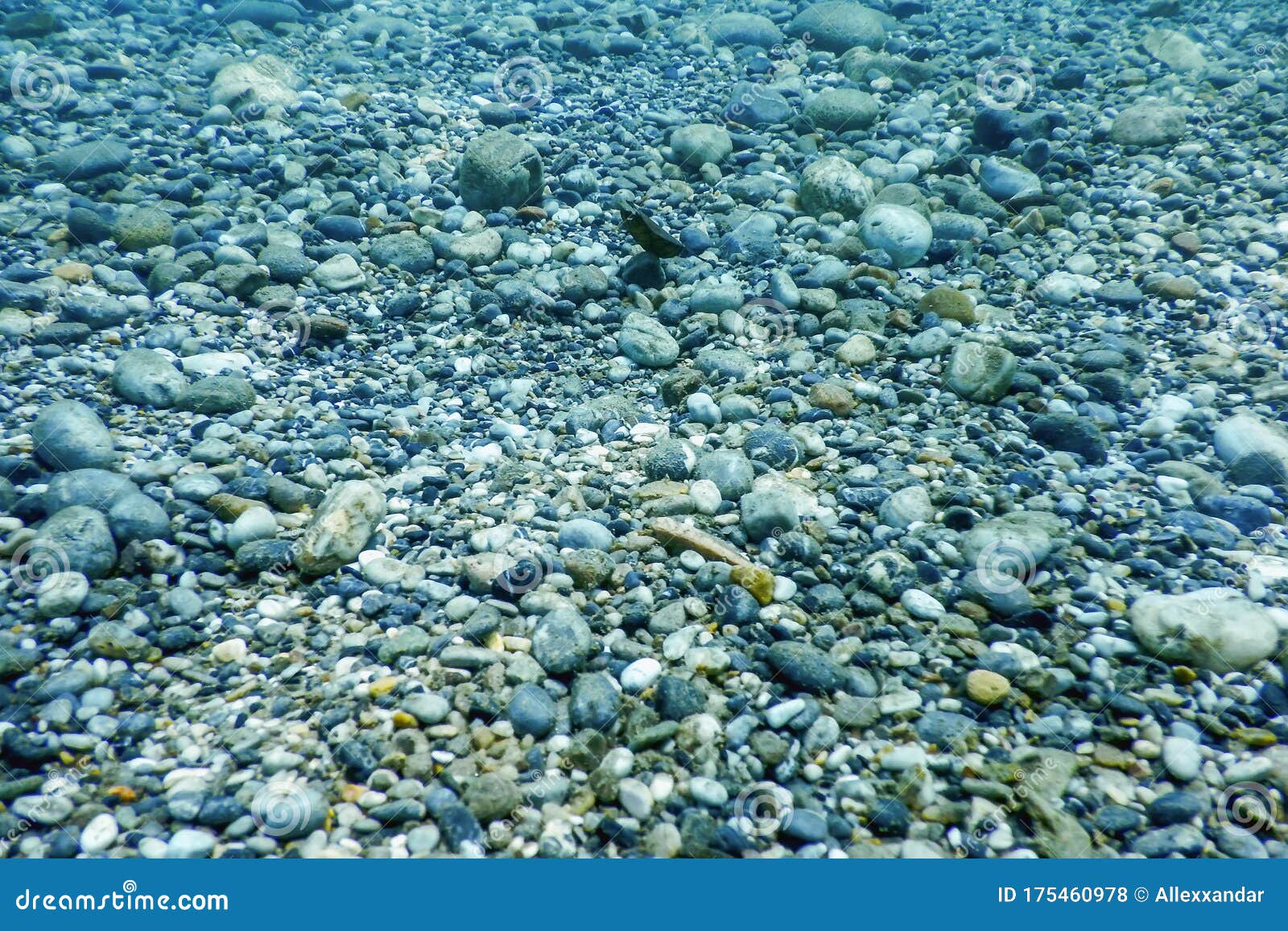 Underwater Rocks and Pebbles on the Seabed Stock Photo - Image of ...
