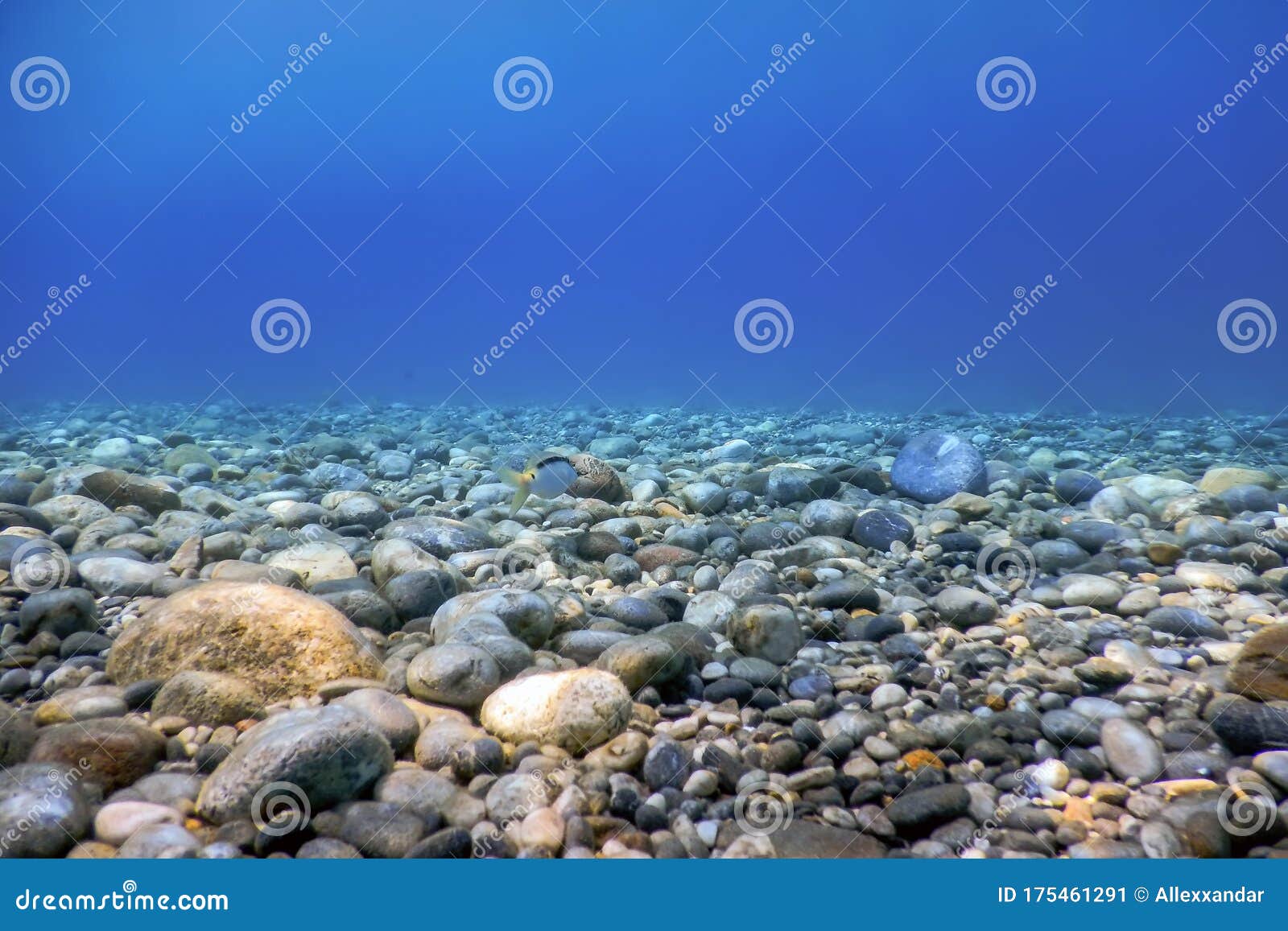 Underwater Rocks and Pebbles on the Seabed Stock Image - Image of ...