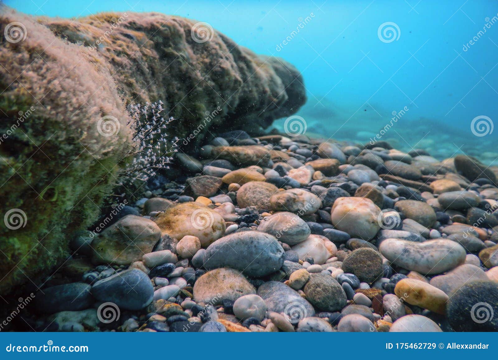 Underwater Rocks and Pebbles on the Seabed Stock Image - Image of floor ...