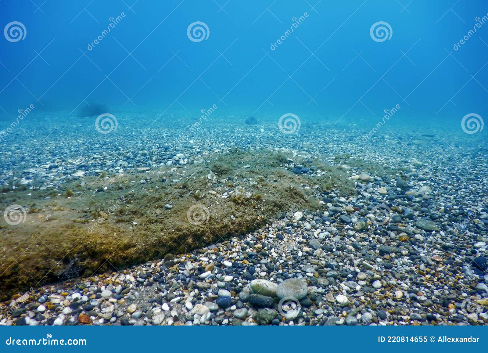 Underwater Rocks and Pebbles on the Seabed Stock Image - Image of rock ...