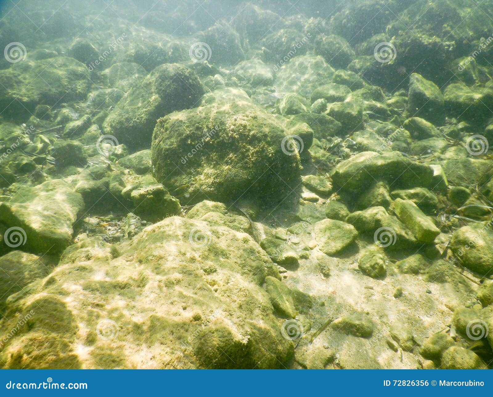 Underwater Rocks at the Seaside Stock Photo - Image of gray, rock: 72826356