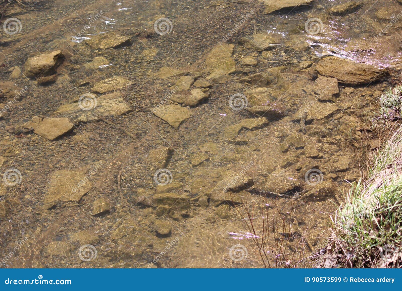Underwater rocks stock image. Image of cold, underwater - 90573599