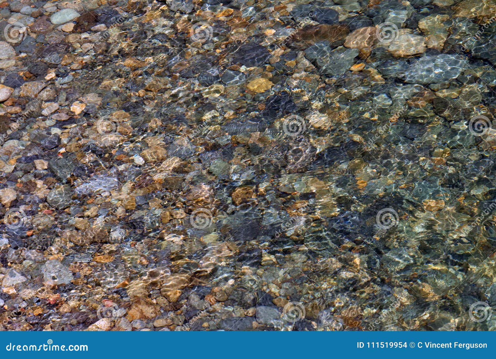 Underwater Rock Texture