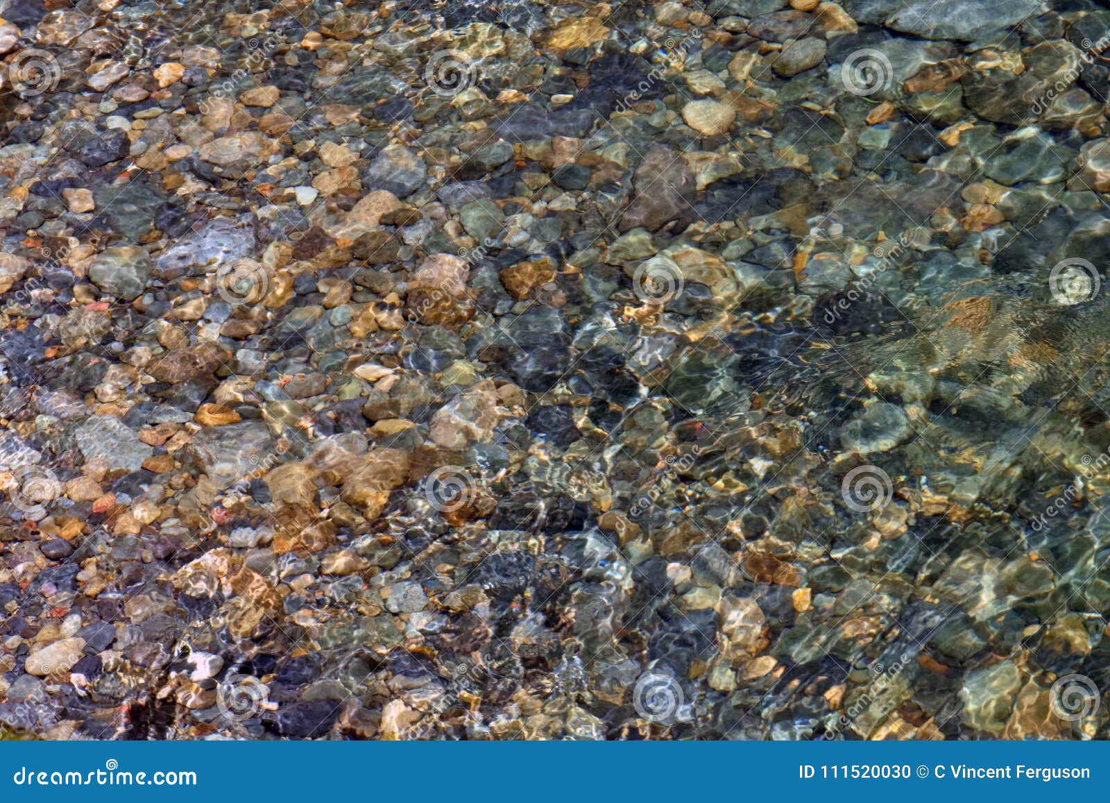 Underwater Rocks Texture Stock Images - Download 1,465 Royalty Free Photos