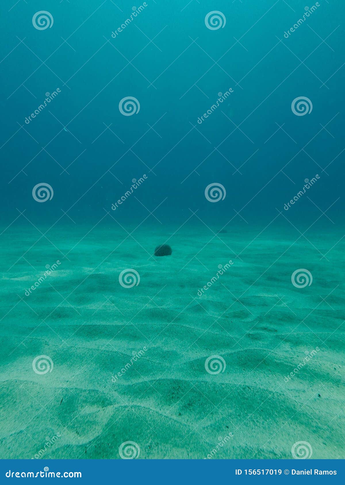 Underwater sand dunes view stock image. Image of view - 156517019