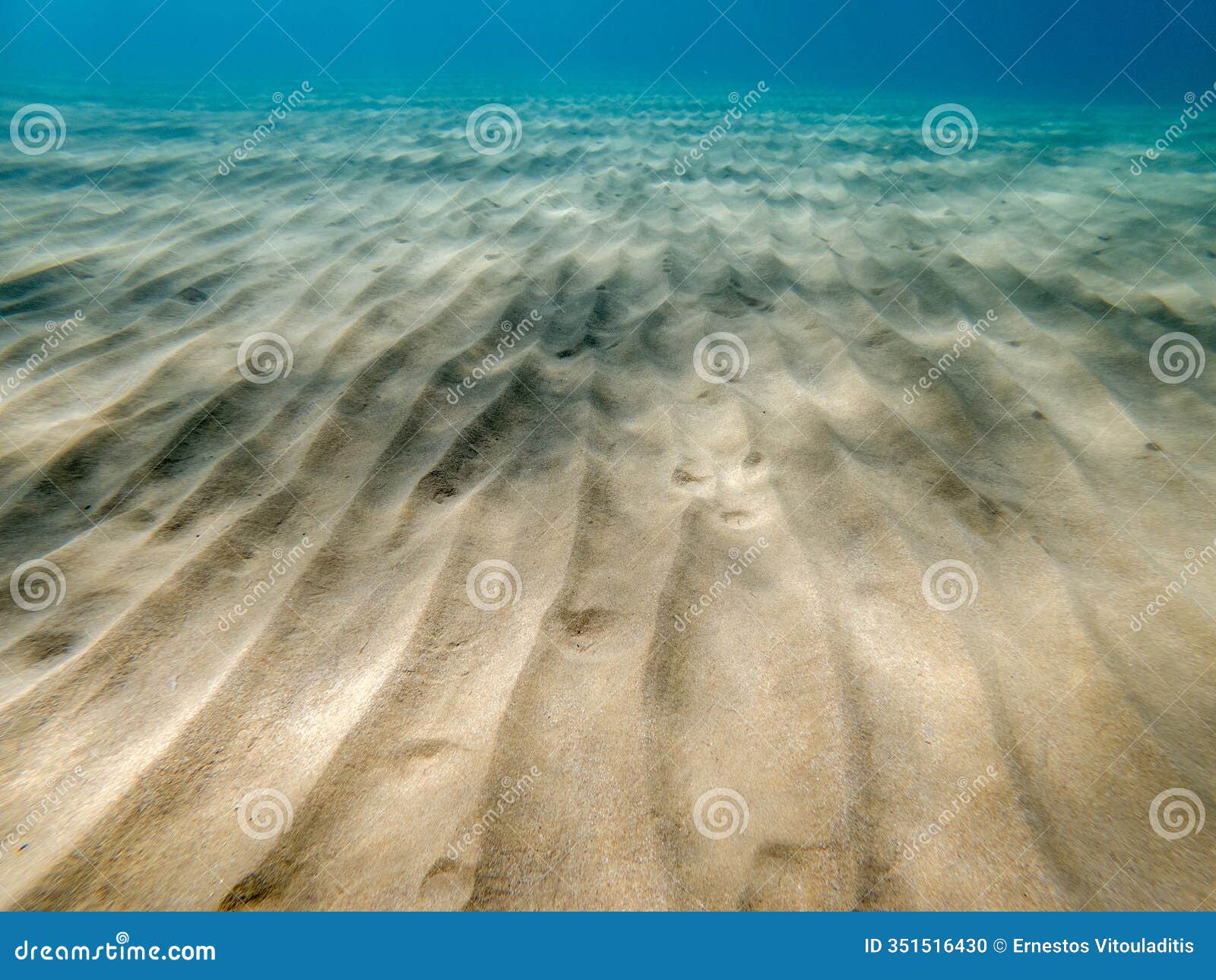 Underwater Sandy Seabed with Ripples Stock Photo - Image of nature ...