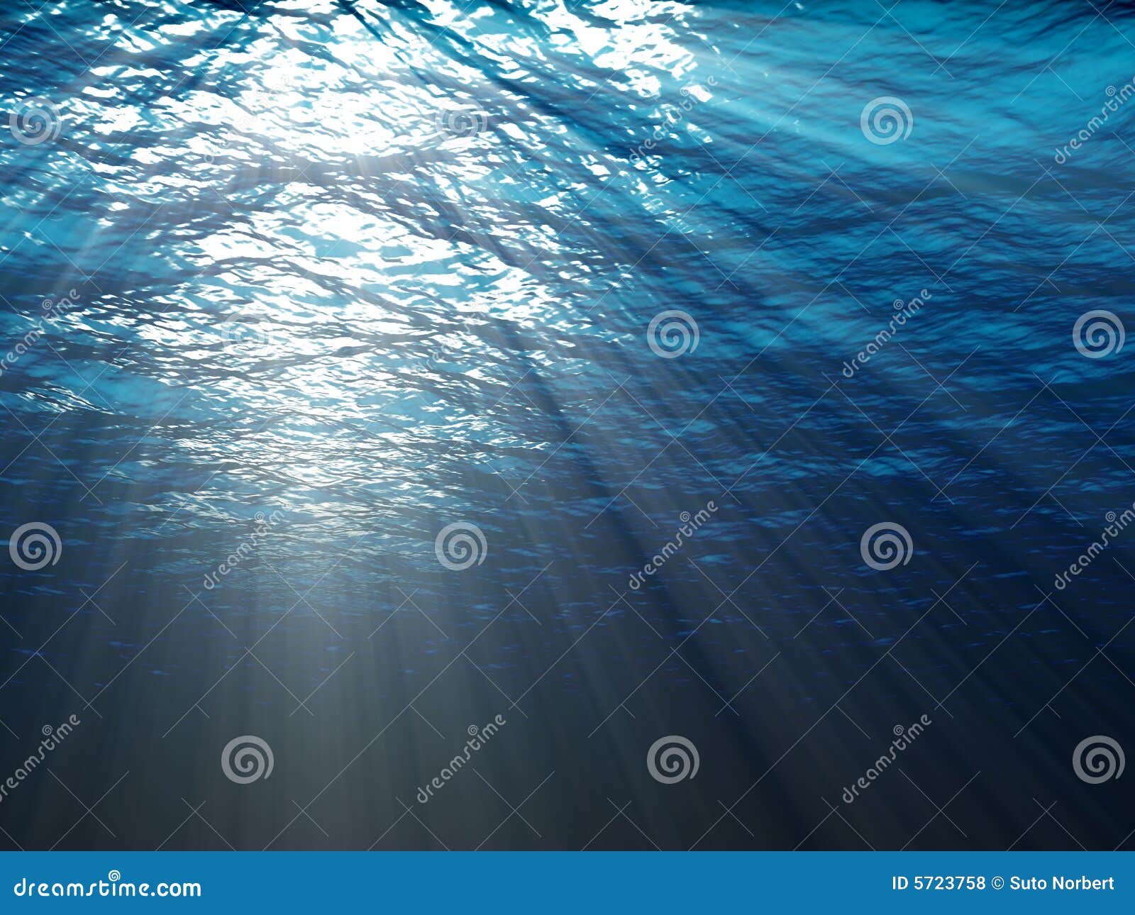 Underwater Ocean Scenes
