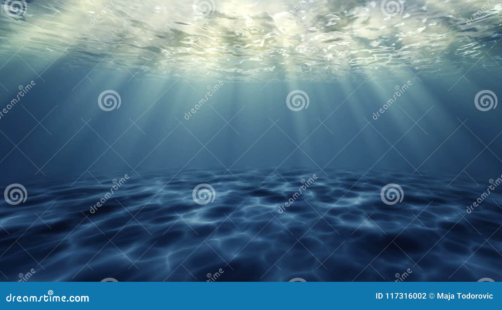 Underwater scene stock footage. Video of freshness, nature - 117316002