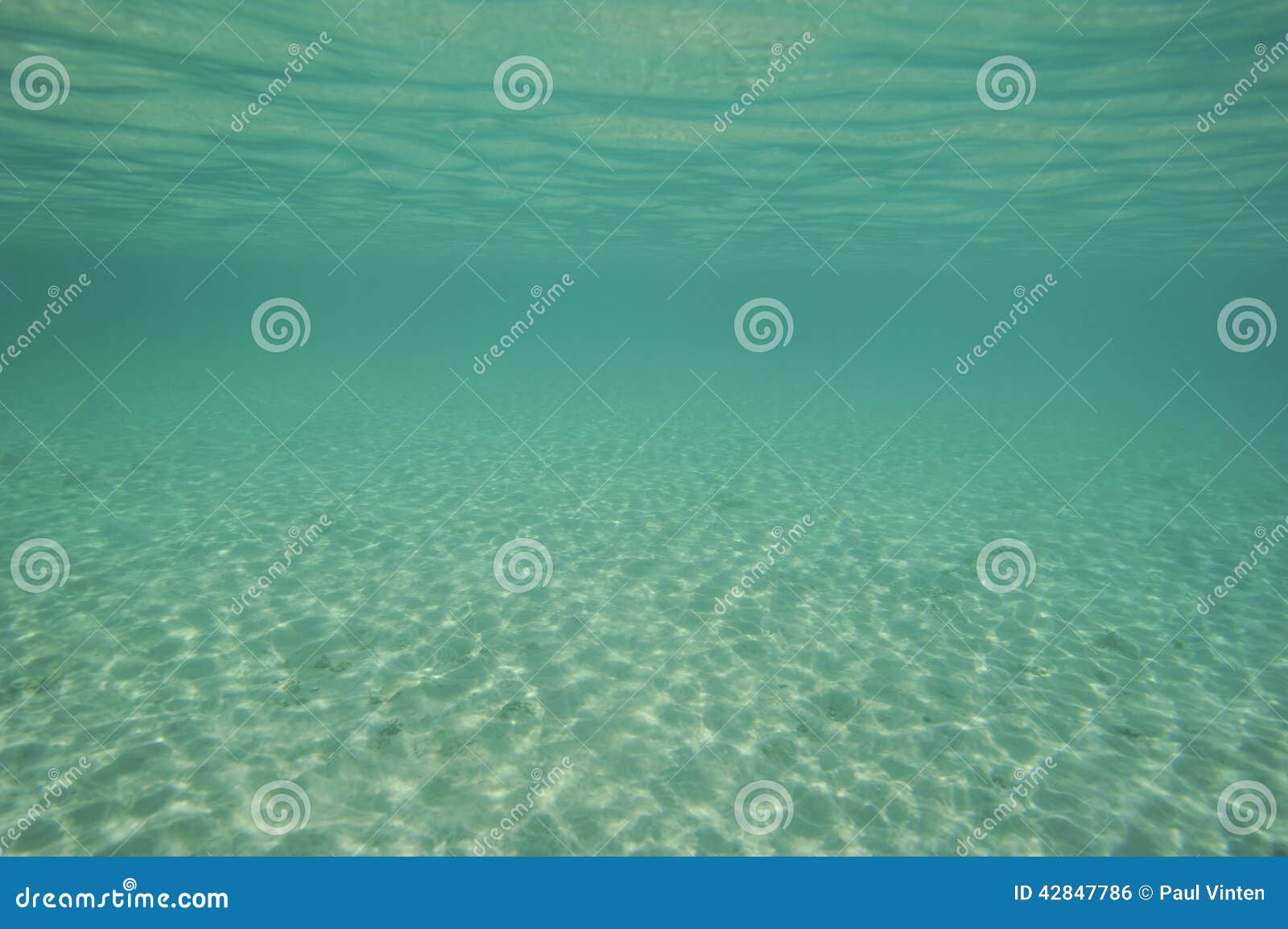 Underwater Scene in Shallow Lagoon Stock Photo - Image of tropical ...
