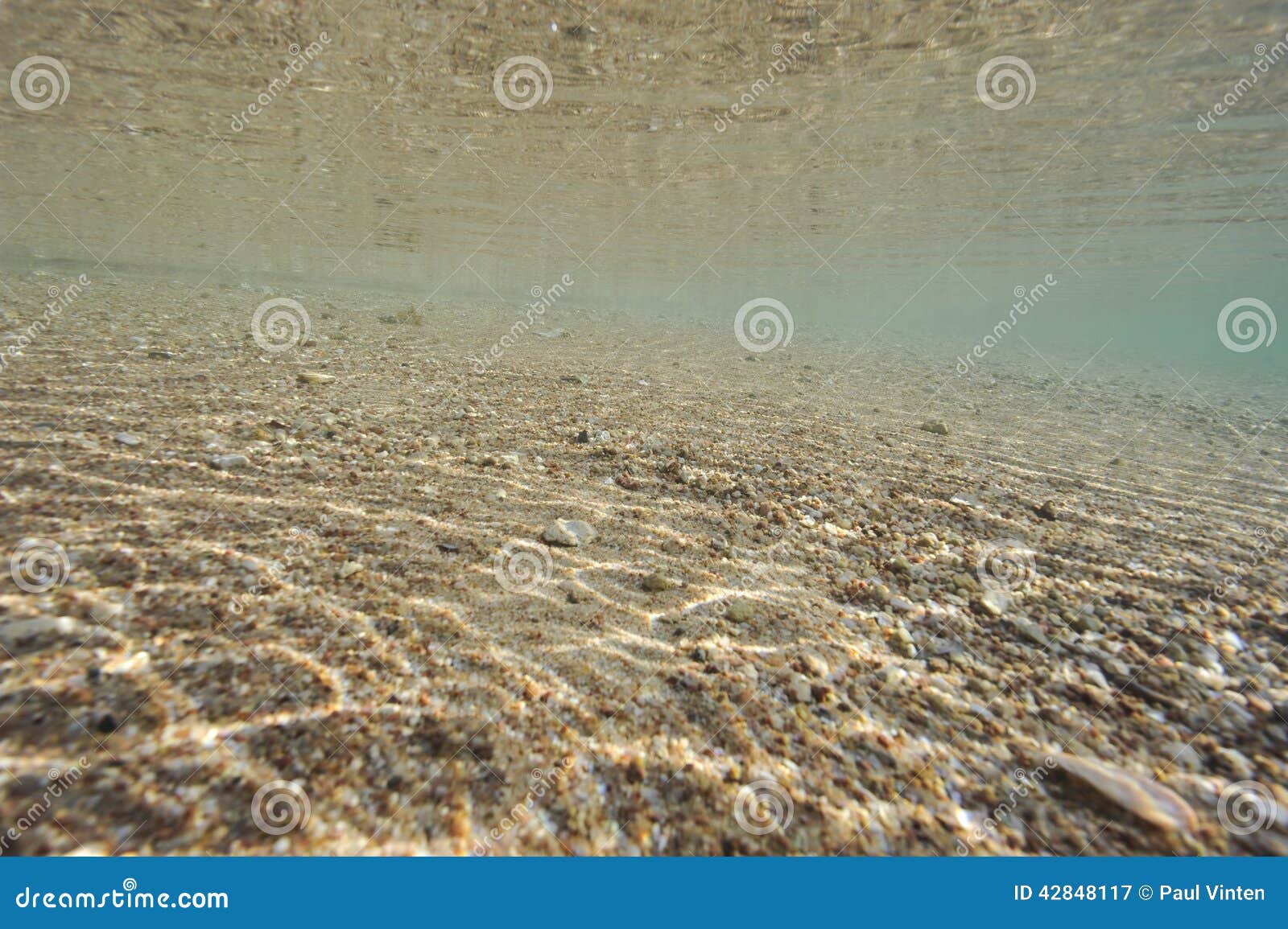 Underwater Scene in Shallow Lagoon Stock Image - Image of lagoon ...