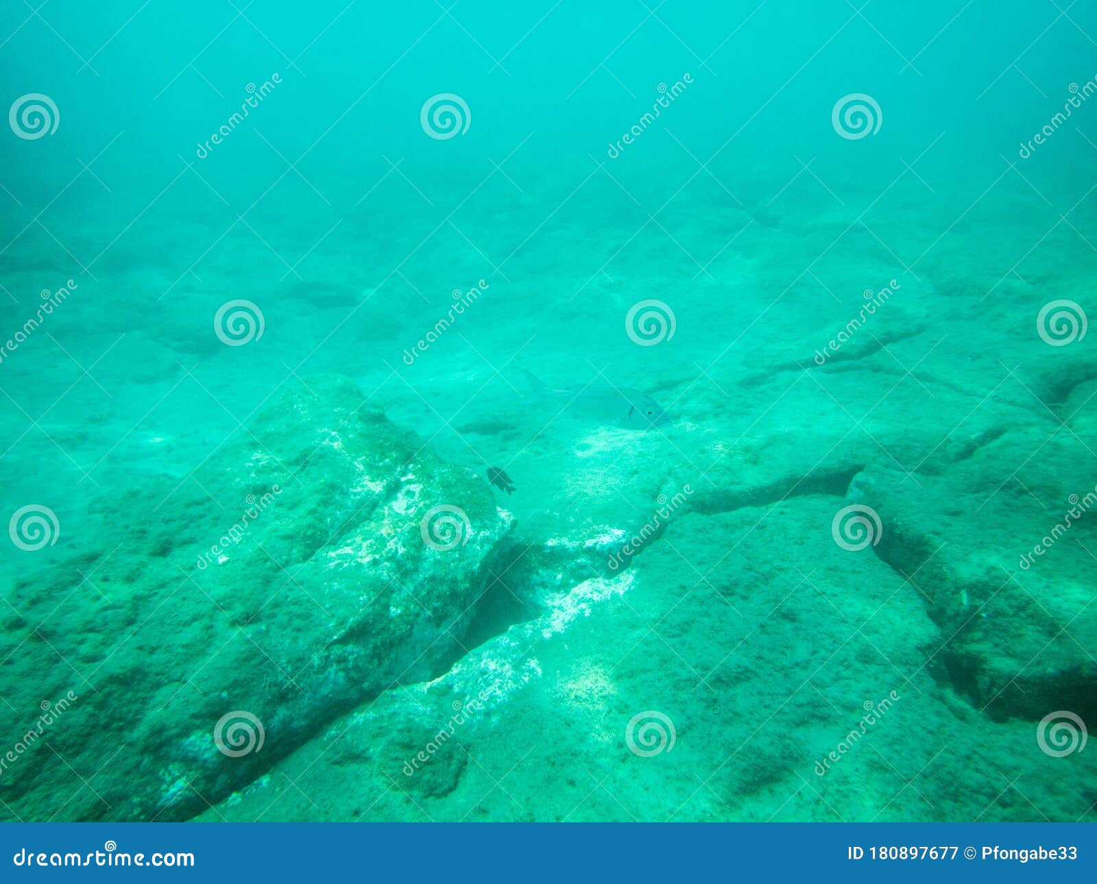 Underwater Scene in Shallow Waters with Light Rays on Ocean Seabed ...