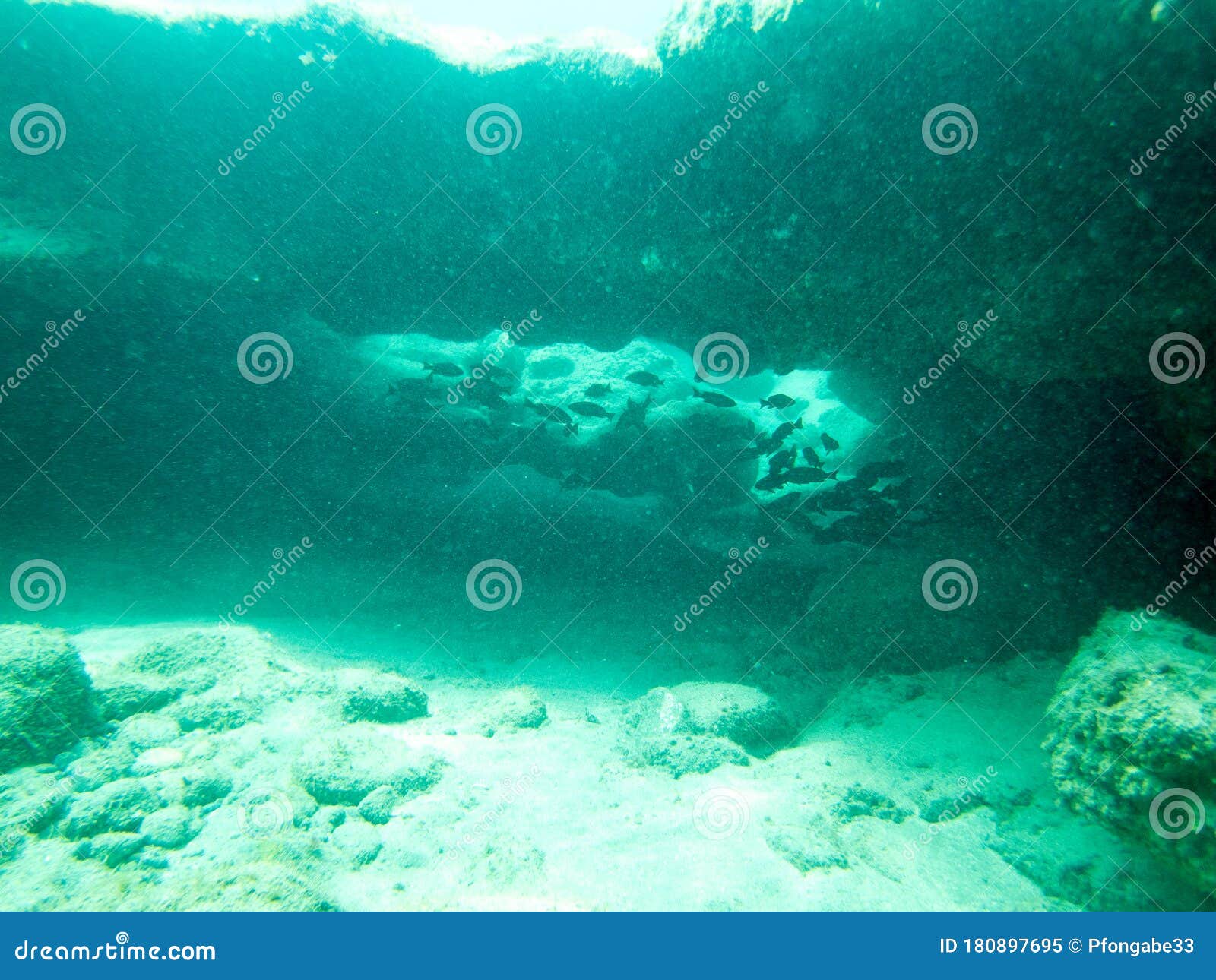 Underwater Scene in Shallow Waters with Light Rays on Ocean Seabed ...