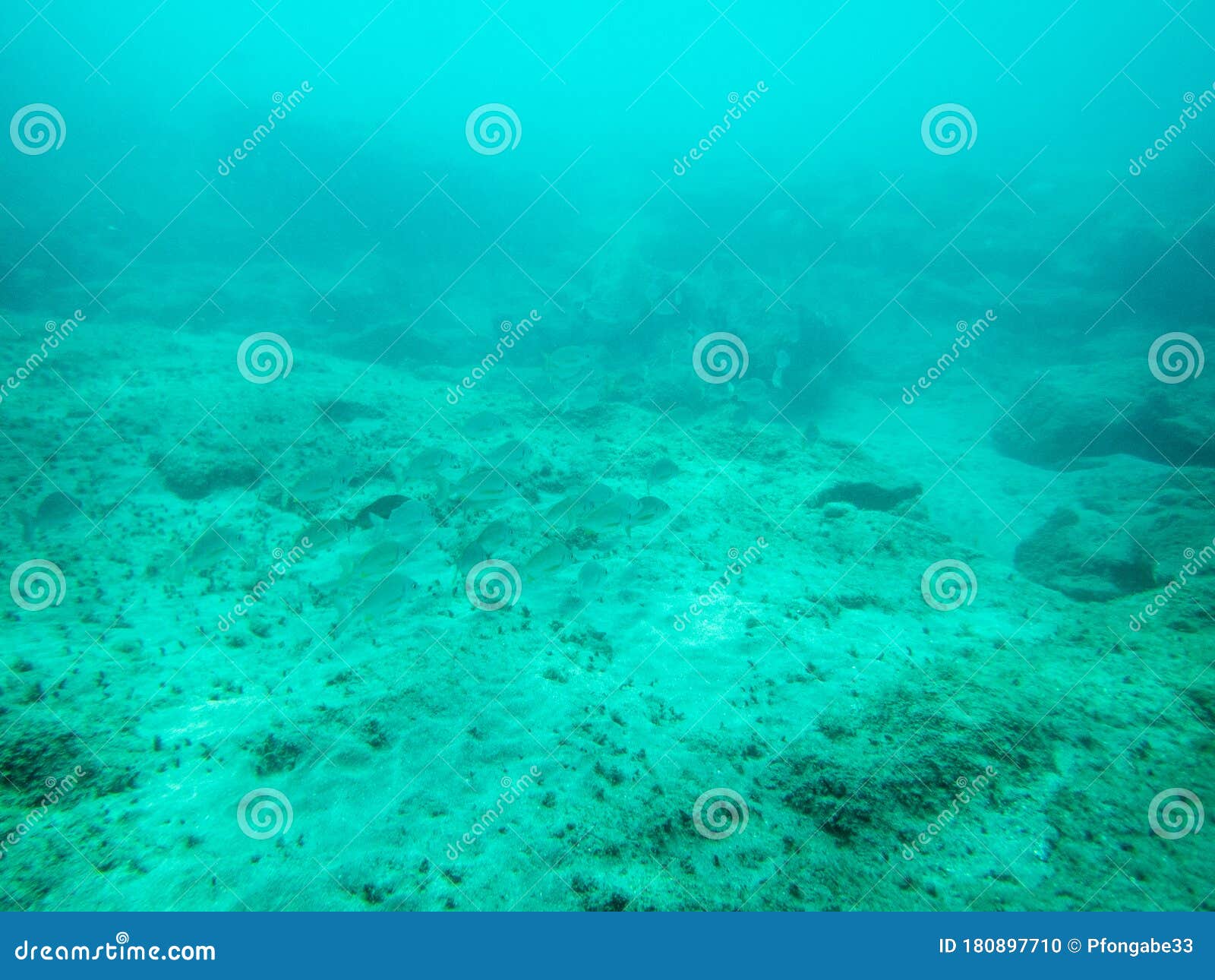 Underwater Scene in Shallow Waters with Light Rays on Ocean Seabed ...
