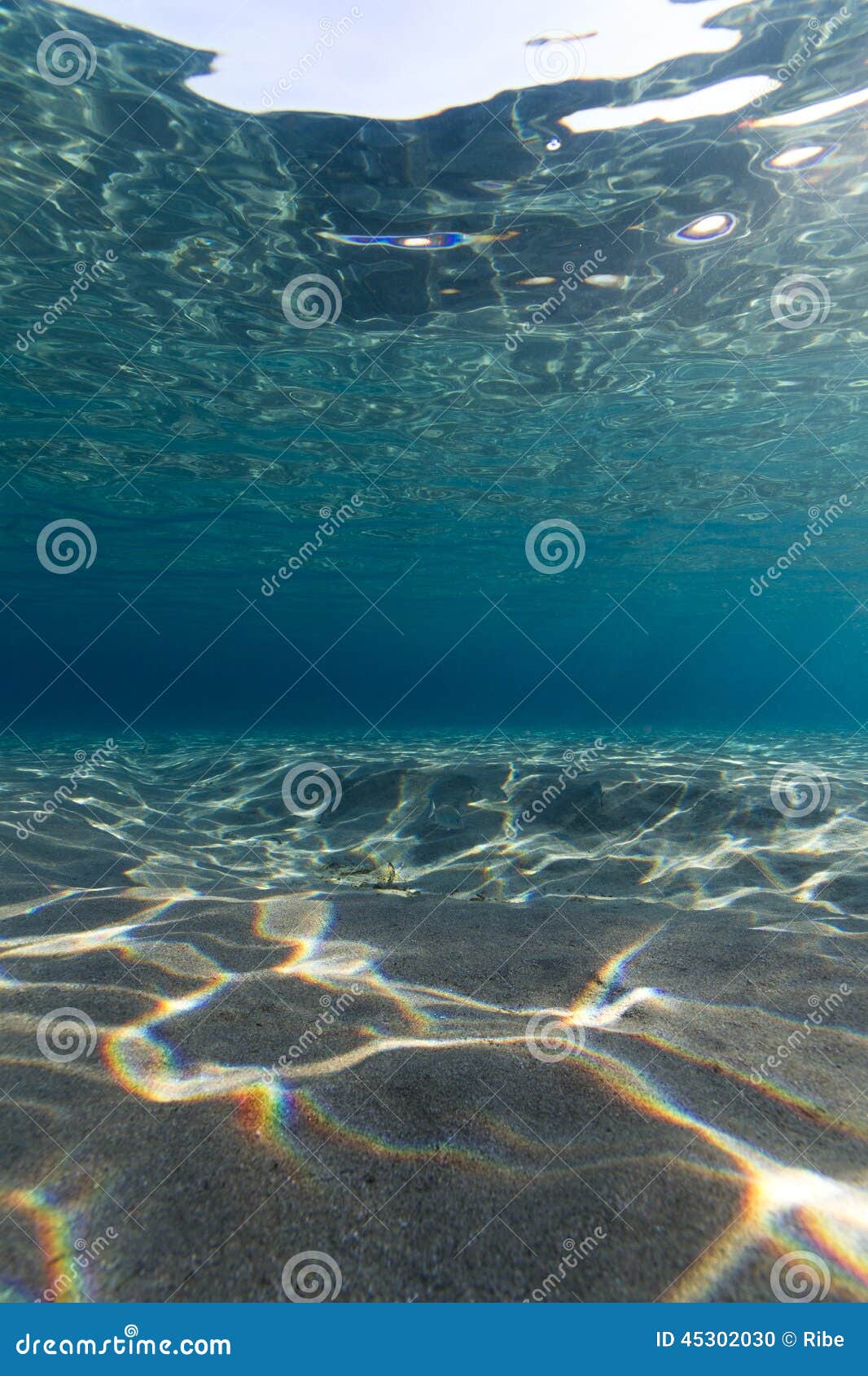 Underwater Scene stock photo. Image of clear, bottom - 45302030