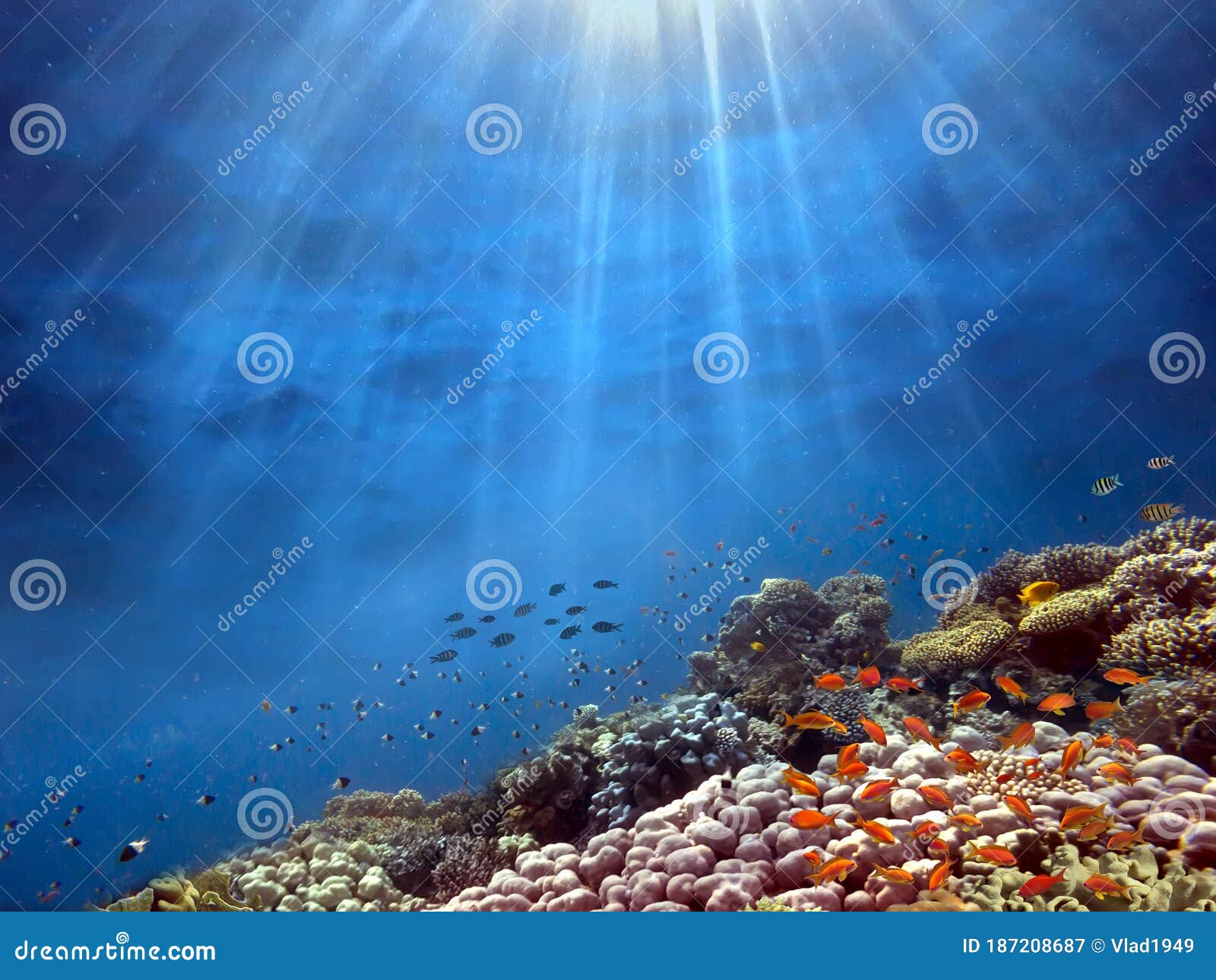 Underwater Scene with Sun Rays Shining through the Water Stock Image ...