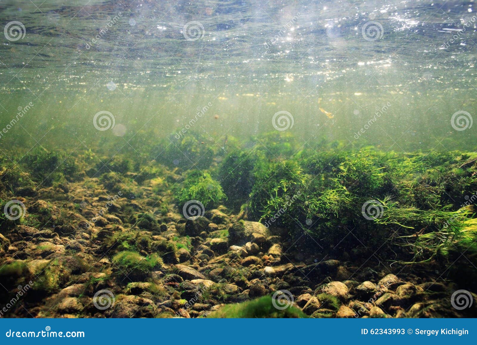 Underwater Scenery Clean Water Stock Image - Image of light, bright ...