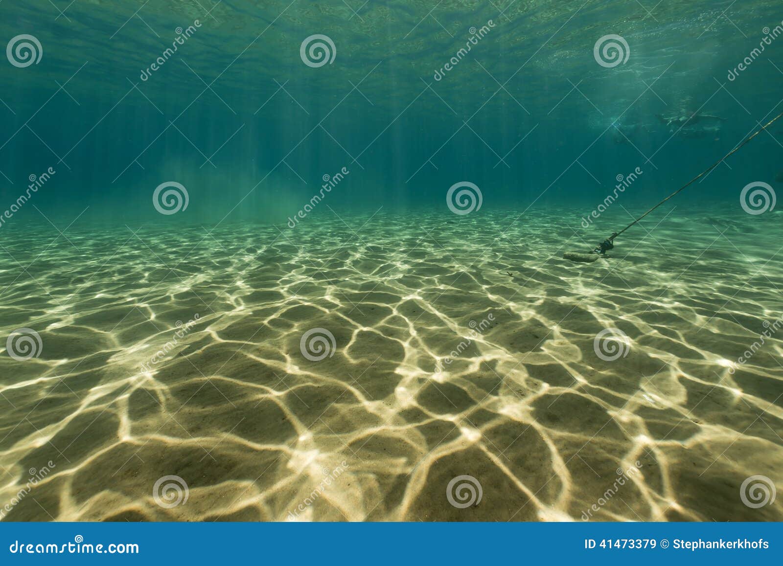 Underwater Scenery of the Red Sea. Stock Image - Image of marine ...